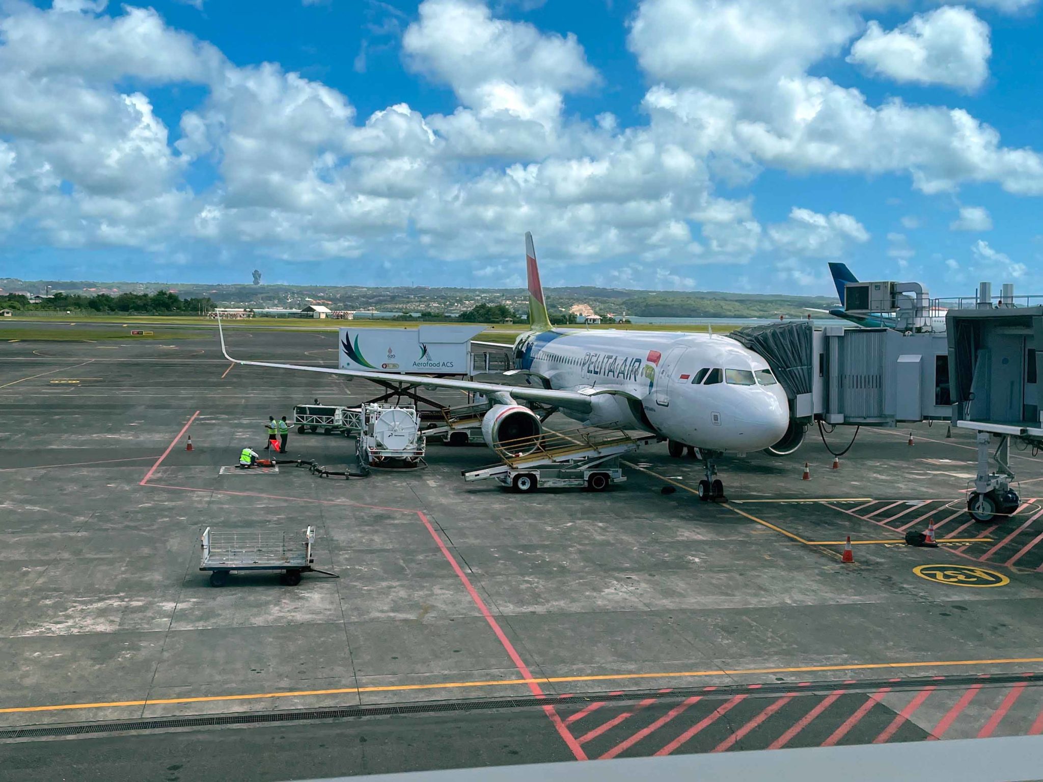 Review: Pelita Air Economy Class A320 - JakartaPotato